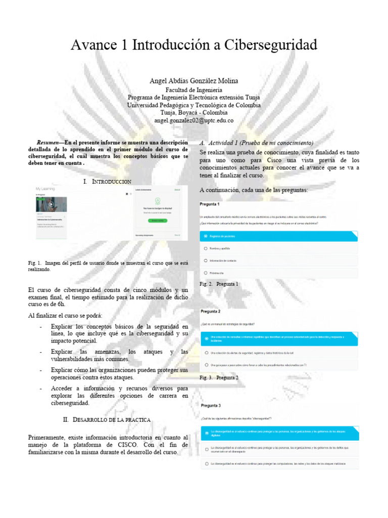 Avance1 IntroduccionCiberseguridad AngelGonzalez | PDF | Internet | Internet de las Cosas