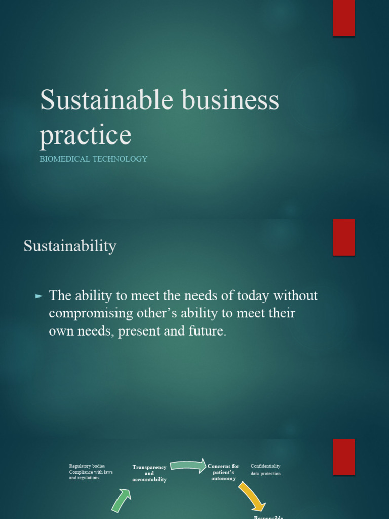 Sustainable Business Practice | PDF | Business Ethics | Conflict Of ...