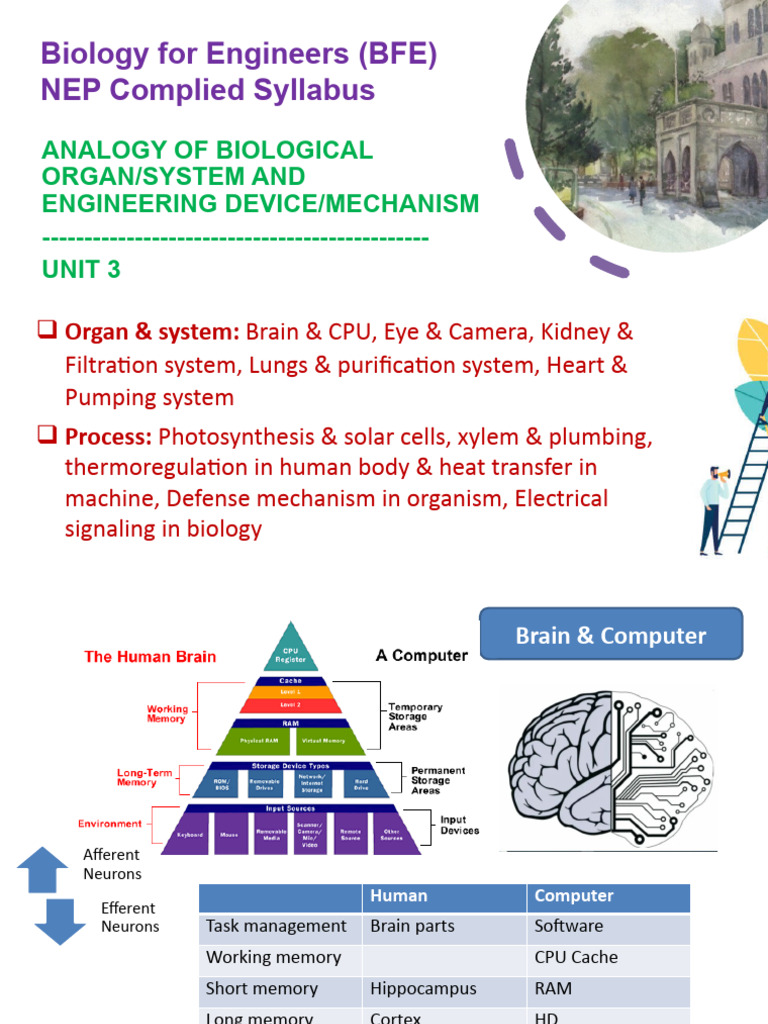 Unit 3 Presentation | PDF | Immune System | Innate Immune System Unit 3 Presentation | PDF | Immune System | Innate Immune System