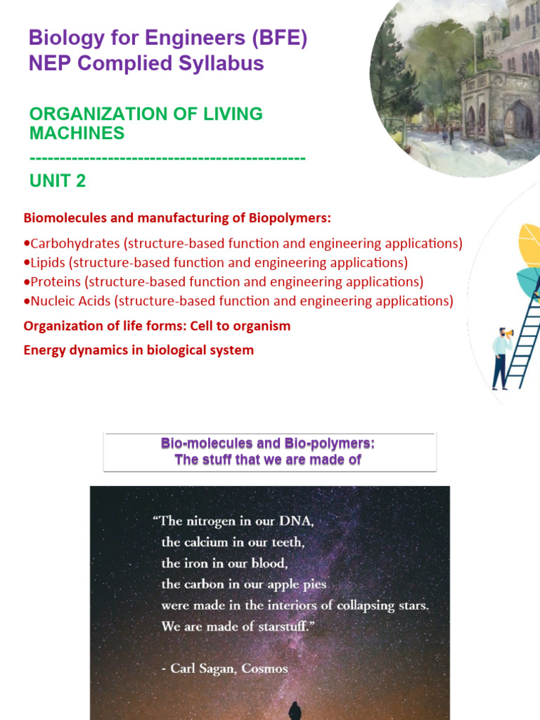 Unit 2 Presentation | Download Free PDF | Cell Nucleus | Endoplasmic Reticulum