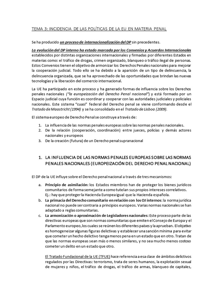 DP Tema 3 | PDF | Corte Criminal Internacional | Unión Europea