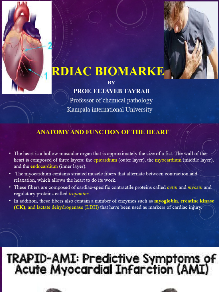Cardiac markers | PDF | Cardiac Muscle