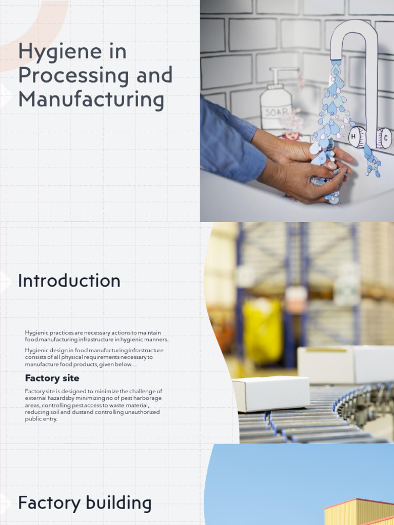 Chapter 24 Hygiene in processing and manufacturing | PDF | Hygiene ...