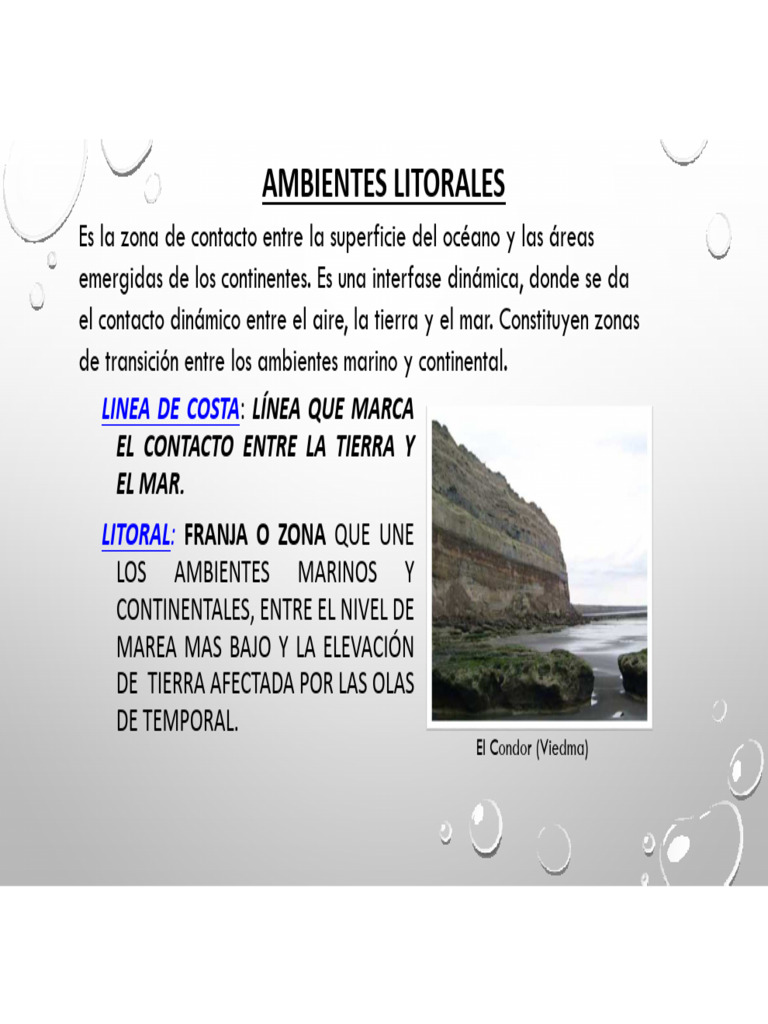 Ambiente Litoral - Geología Costero Marina | PDF | Costa | playa
