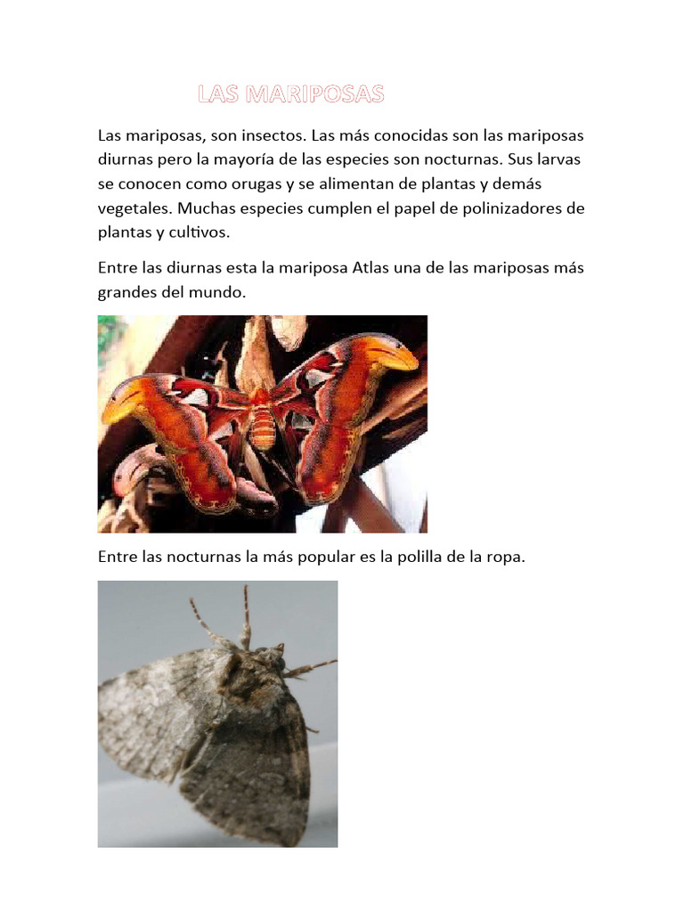 Las Mariposas | PDF