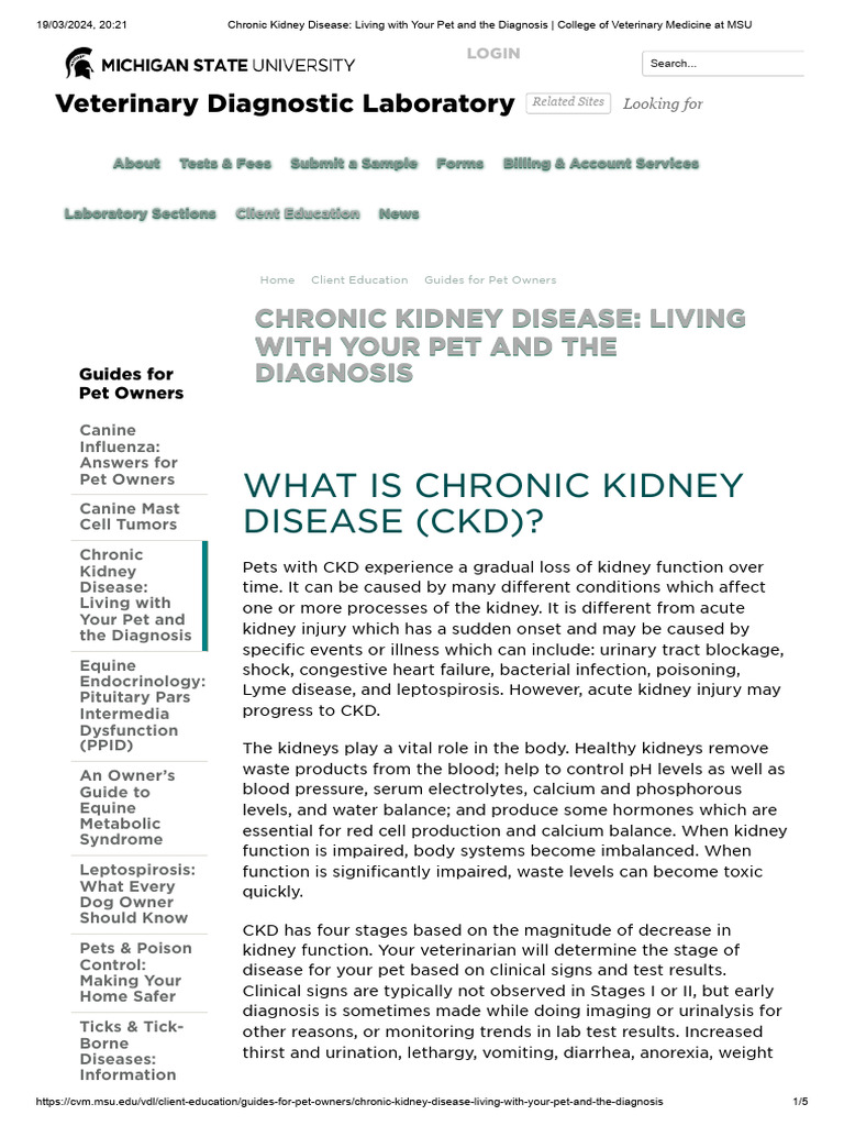 Material DRC | PDF | Chronic Kidney Disease | Kidney