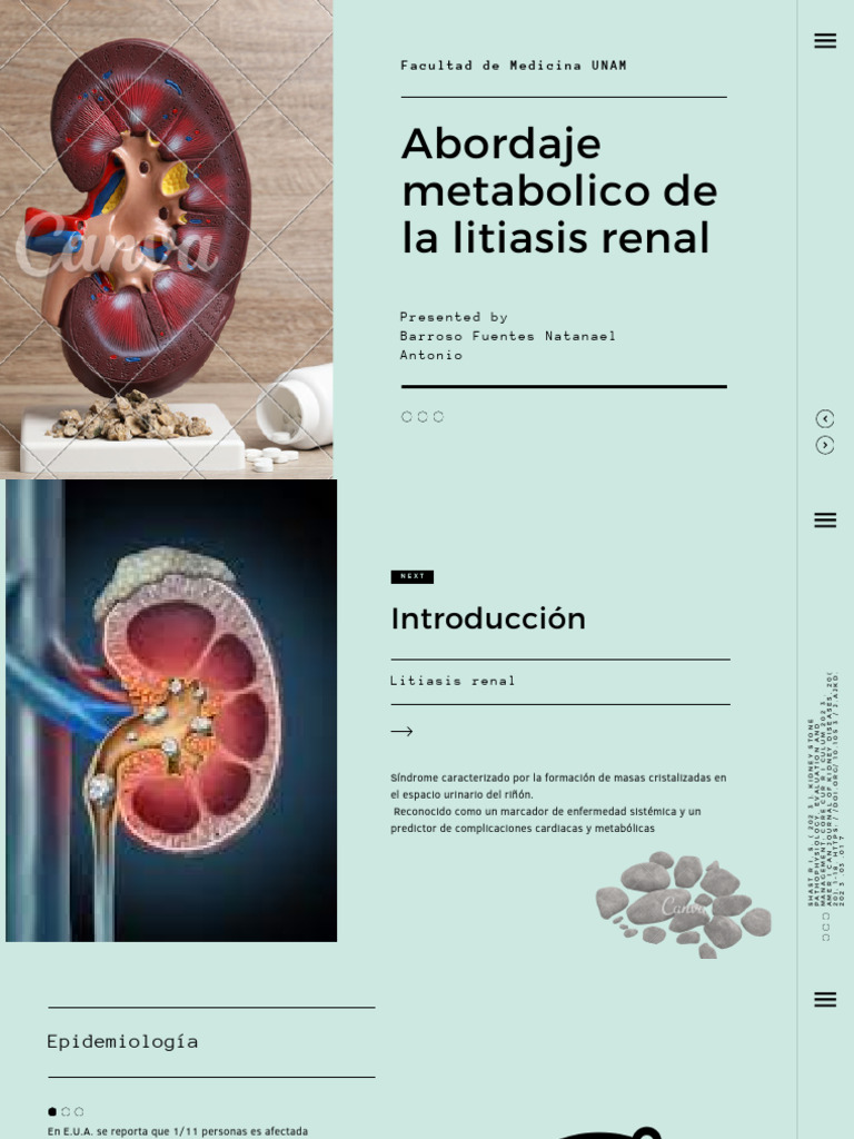 Abordaje Metabolico de La Litiasis Renal BFNA | Descargar gratis PDF ... Abordaje Metabolico de La Litiasis Renal BFNA | Descargar gratis PDF ...