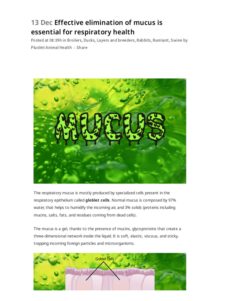 Effective Elimination of Mucus Is Essential For Respiratory Health ...