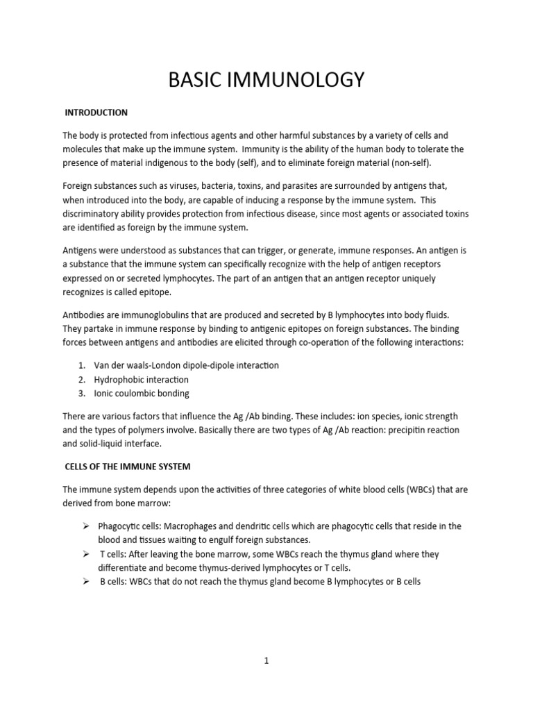 THE IMMUNE SYSTEM | PDF | Immune System | Antibody