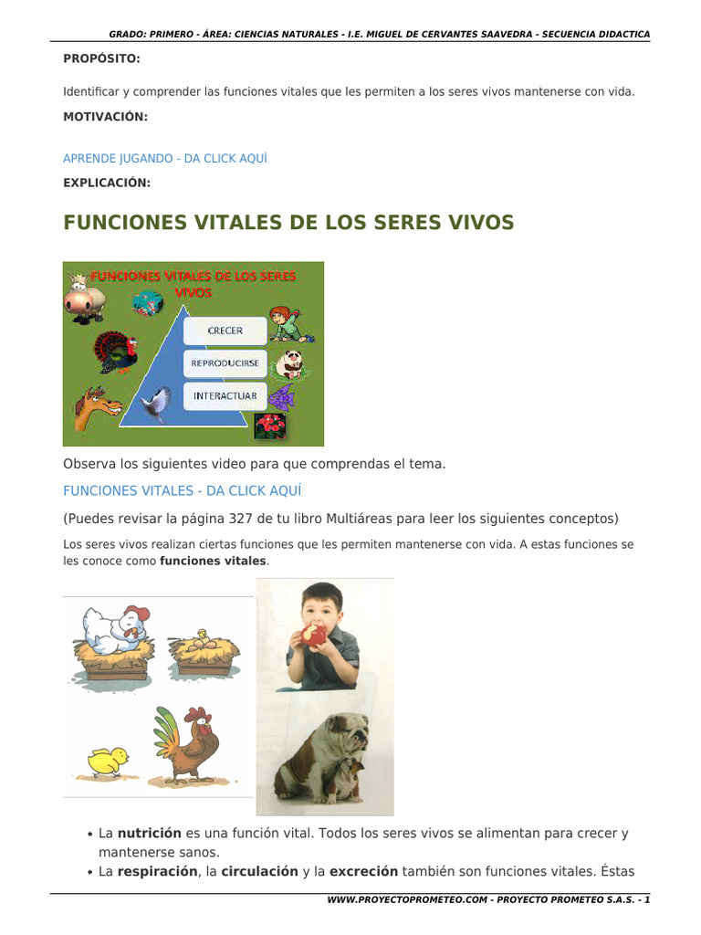 Cinecias Funciones Vitales Seres Vivos | Descargar gratis PDF ...