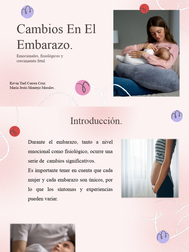 Cambios Emocionales En El Embarazo Pdf El Embarazo Feto