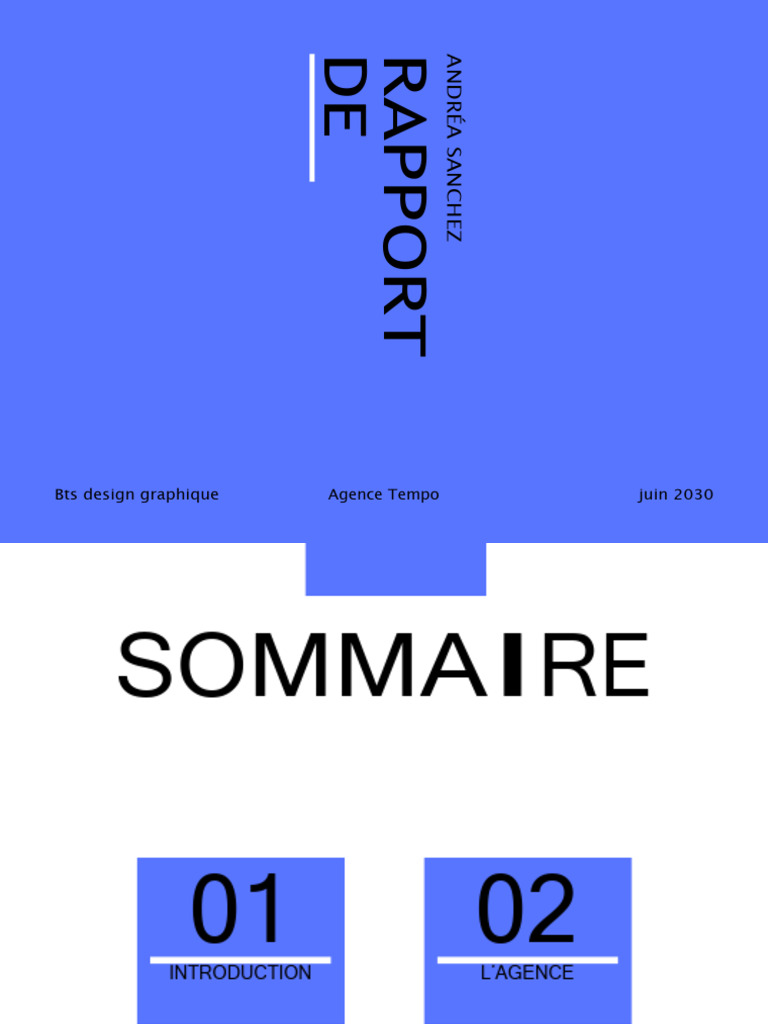 Rapport de Stage Entreprise Professionnel Minimaliste Bleu | PDF