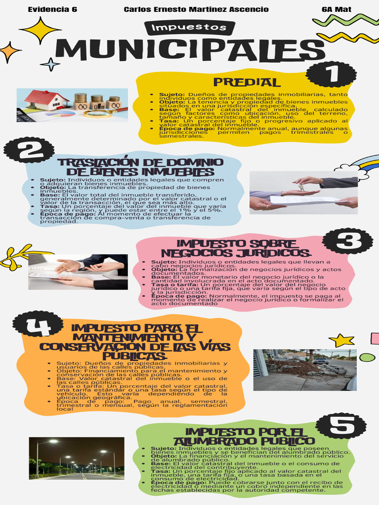 Infografía Consejos Para Cuidar A Tus Plantas Ilustrado Verde