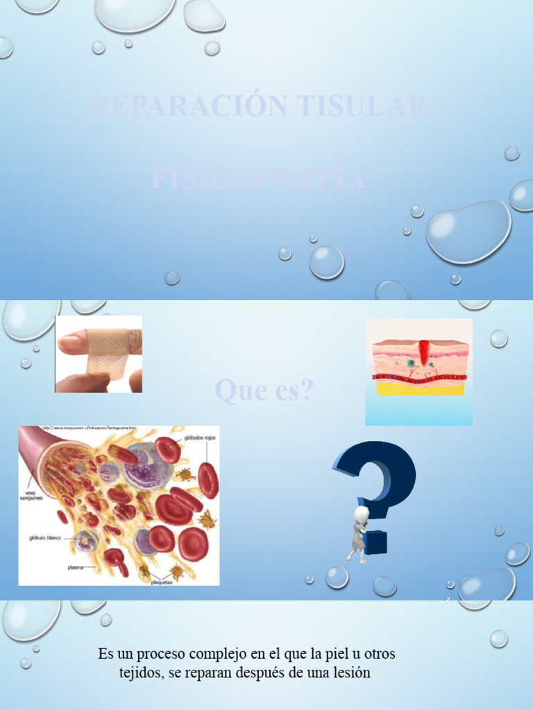 Reparación Tisular | PDF | Hueso | Inflamación