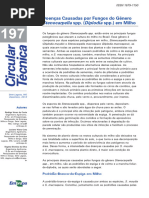 Ilevo | PDF | Embalagem e rotulagem | Desperdício