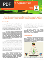 Ilevo | PDF | Embalagem e rotulagem | Desperdício