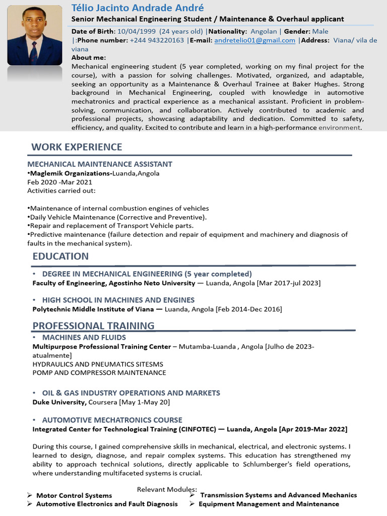 Mechanical Engineering Student Profile | PDF | Mechatronics | Engineering