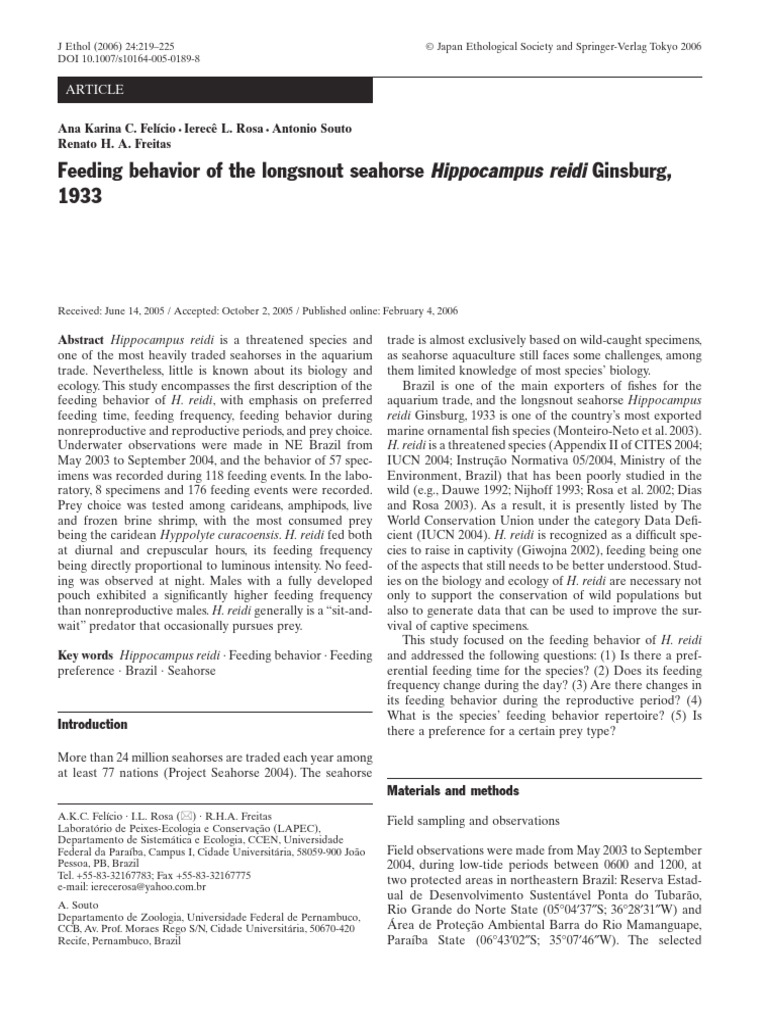 Feeding Behavior of The Longsnout Seahorse Hippocampus Reidi Ginsburg ...