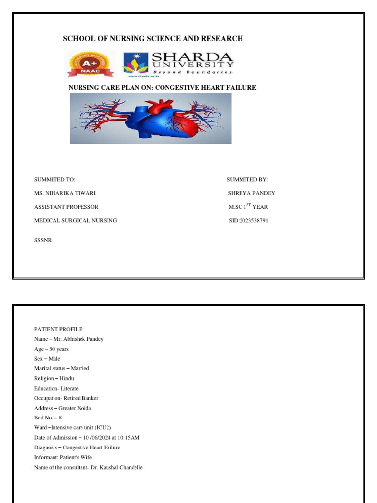 Care Plan CHF | PDF | Heart | Myocardial Infarction