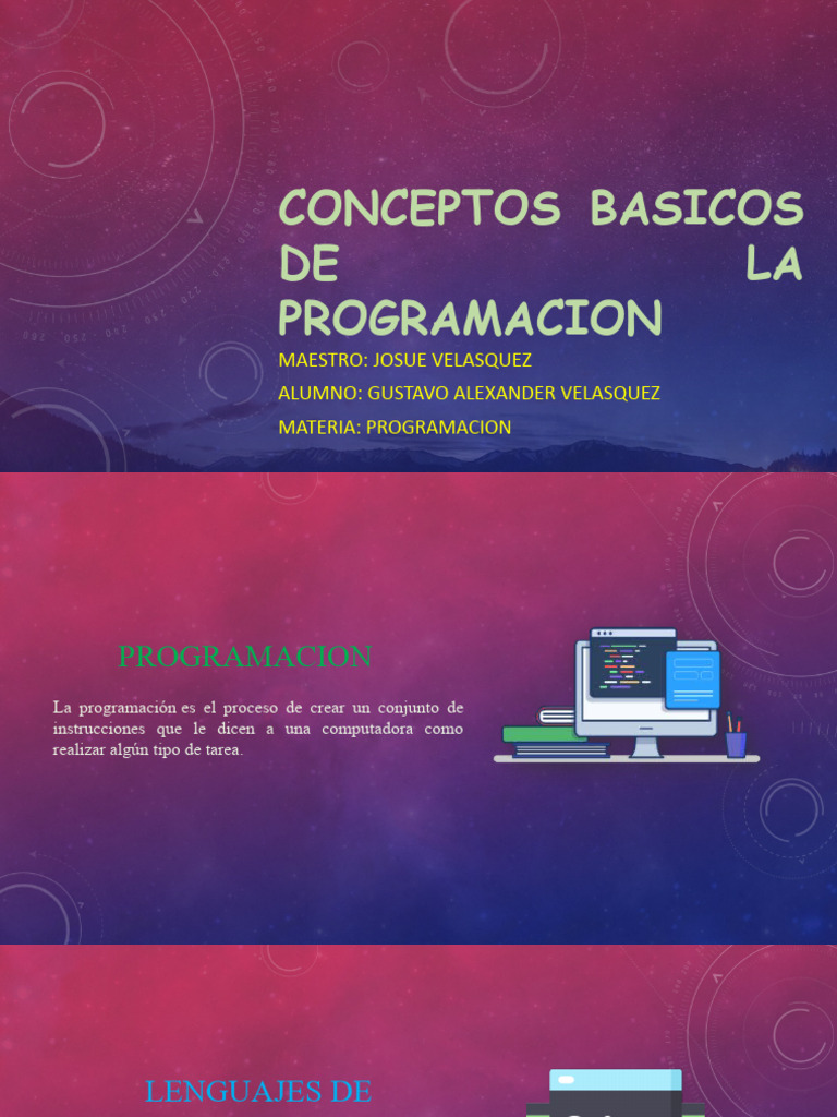 Conceptos Basicos de La Programacion | PDF | Lenguaje de programación | Programación de computadoras
