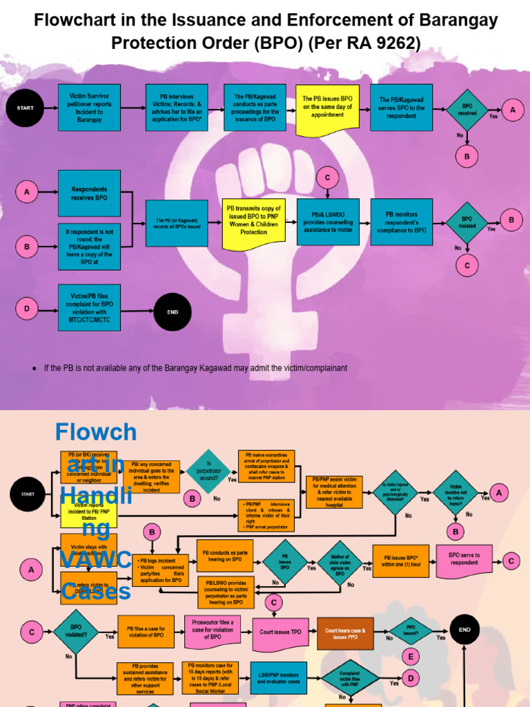 VAW FLOWCHART | PDF