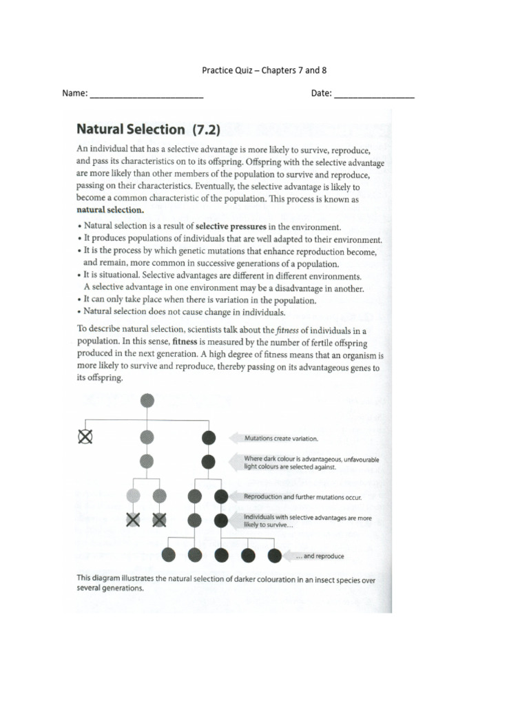 Evolution Practice Quiz | PDF