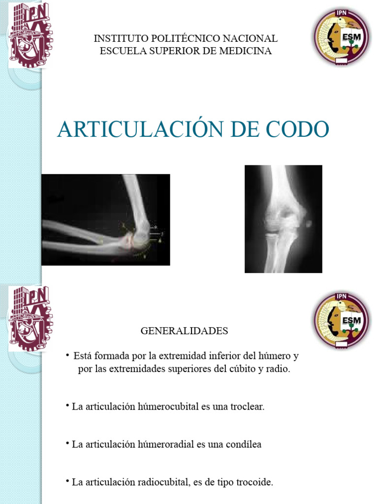 Articulación De Codo Pdf Codo Articulación