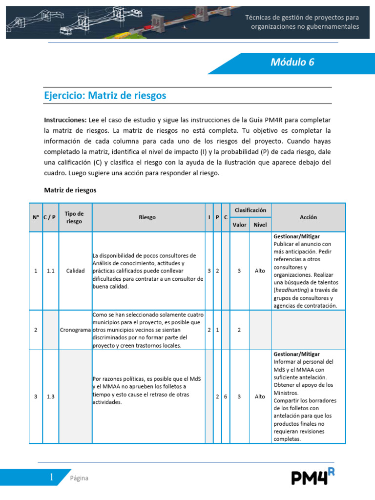 Module 6 Risk Matrix Exercise Instructions | PDF