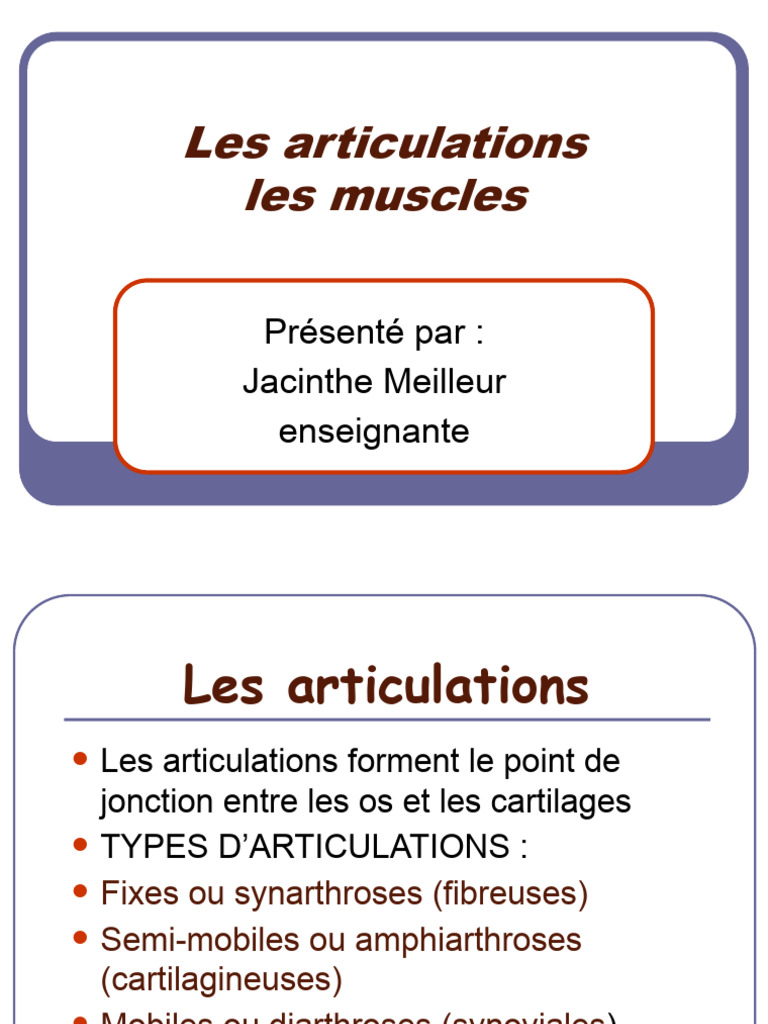 Articulations et muscles : anatomie essentielle | PDF | Muscle ...