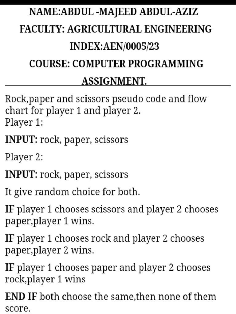 Computer Programming Assignment | PDF