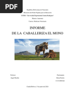 Anatomia y Fisiologia Del Pato | PDF | Pato | Domesticación