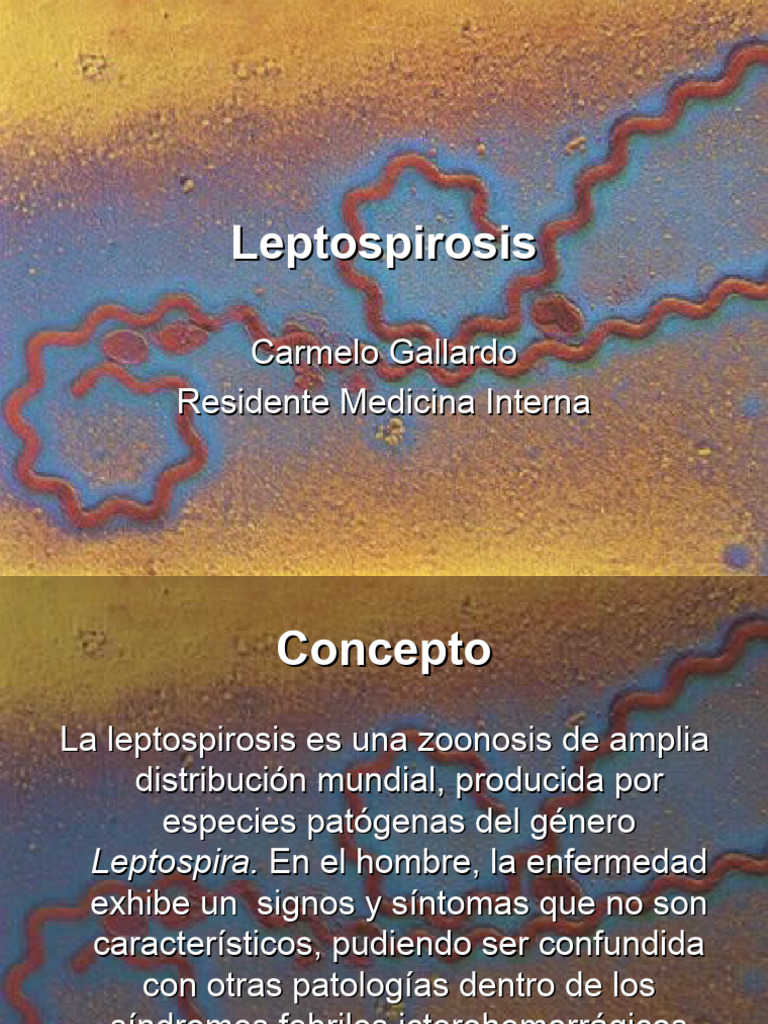 Leptospirosis: Epidemiología y Diagnóstico | PDF | Salud pública ...