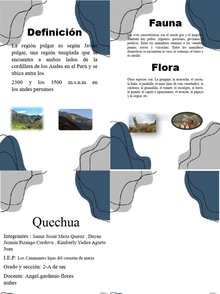 La Region Quechua | PDF