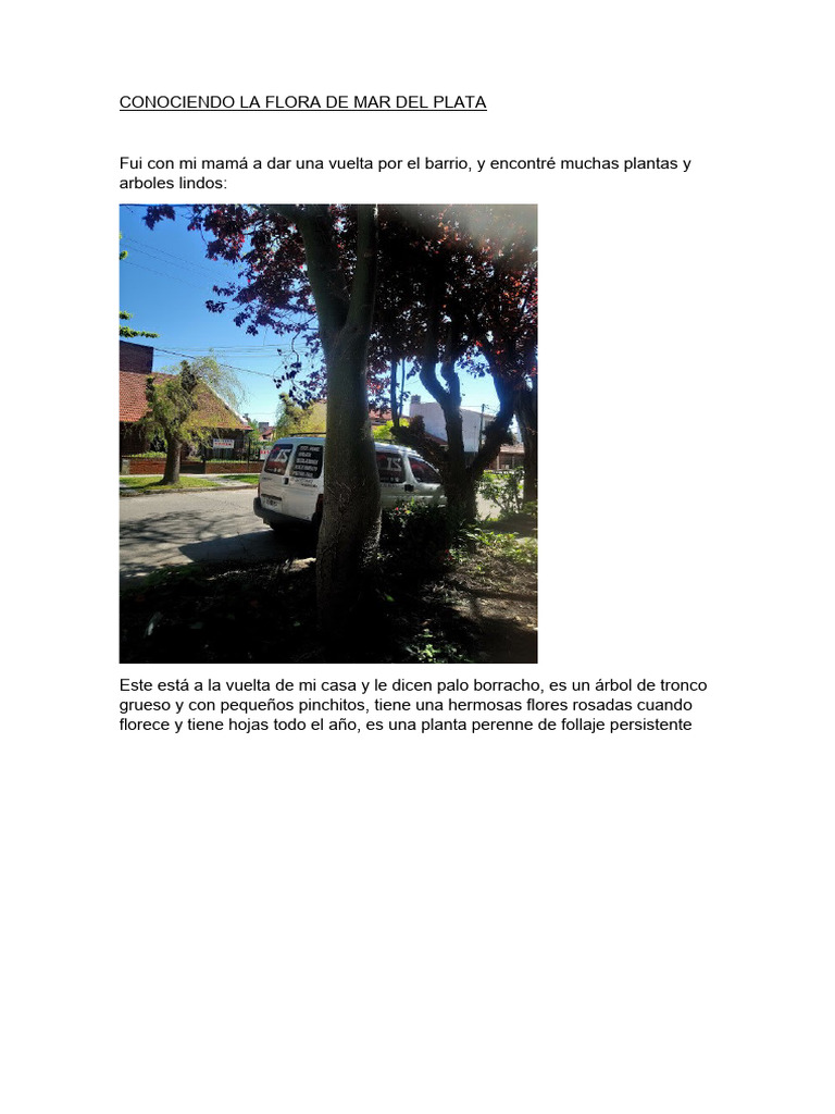 CONOCIENDO LA FLORA DE MAR DEL PLATA | PDF