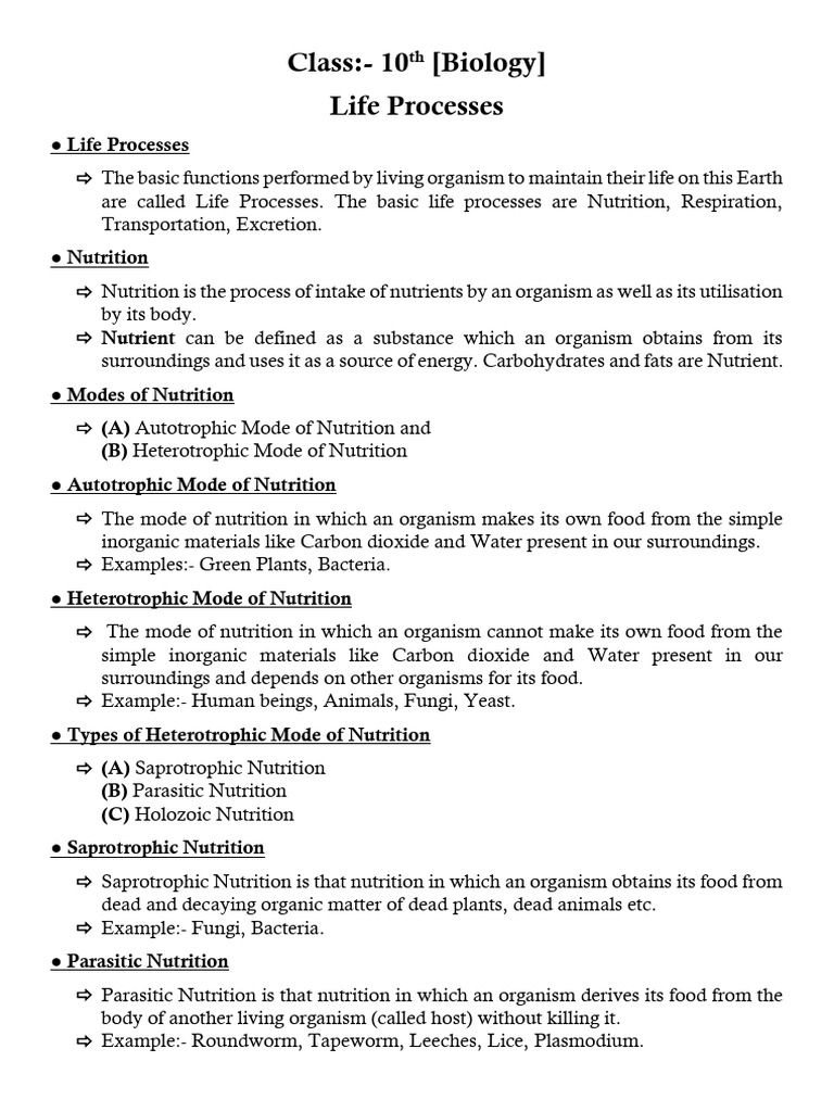 Life Processes (P1) | PDF | Digestion | Respiratory System