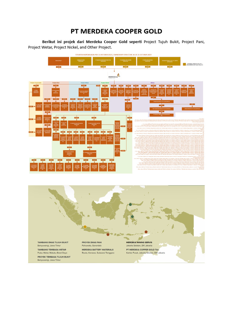 Pt Merdeka Cooper Gold | PDF
