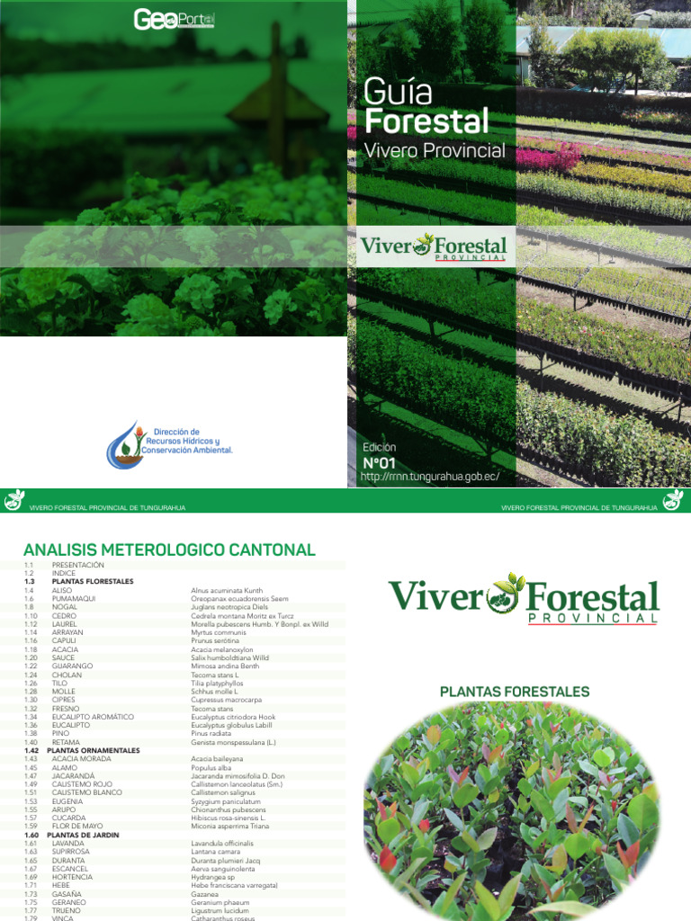 Guia Forestal | PDF | Arboles | Los bosques