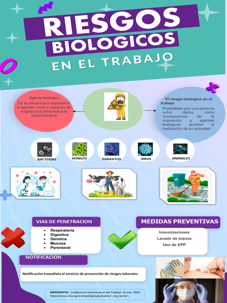 Infografia de Riesgos Biologicos-1 | PDF
