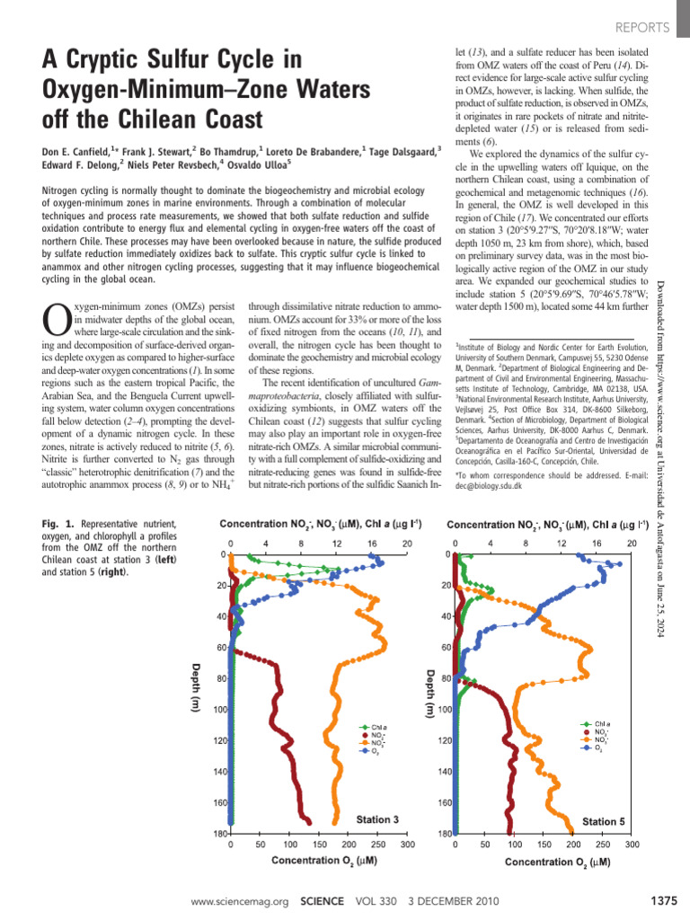 A Cryptic Sulfur Cycle in | Download Free PDF | Sea Surface Temperature ...