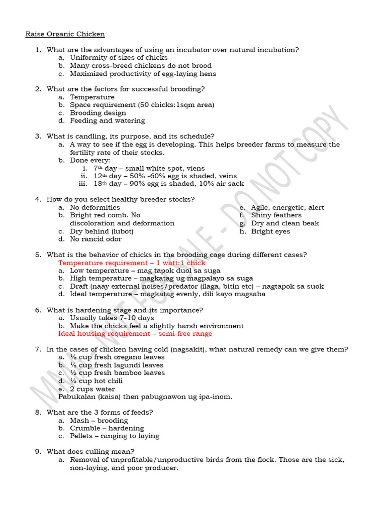OAP Questions_Organic Chicken | PDF | Chicken | Birds