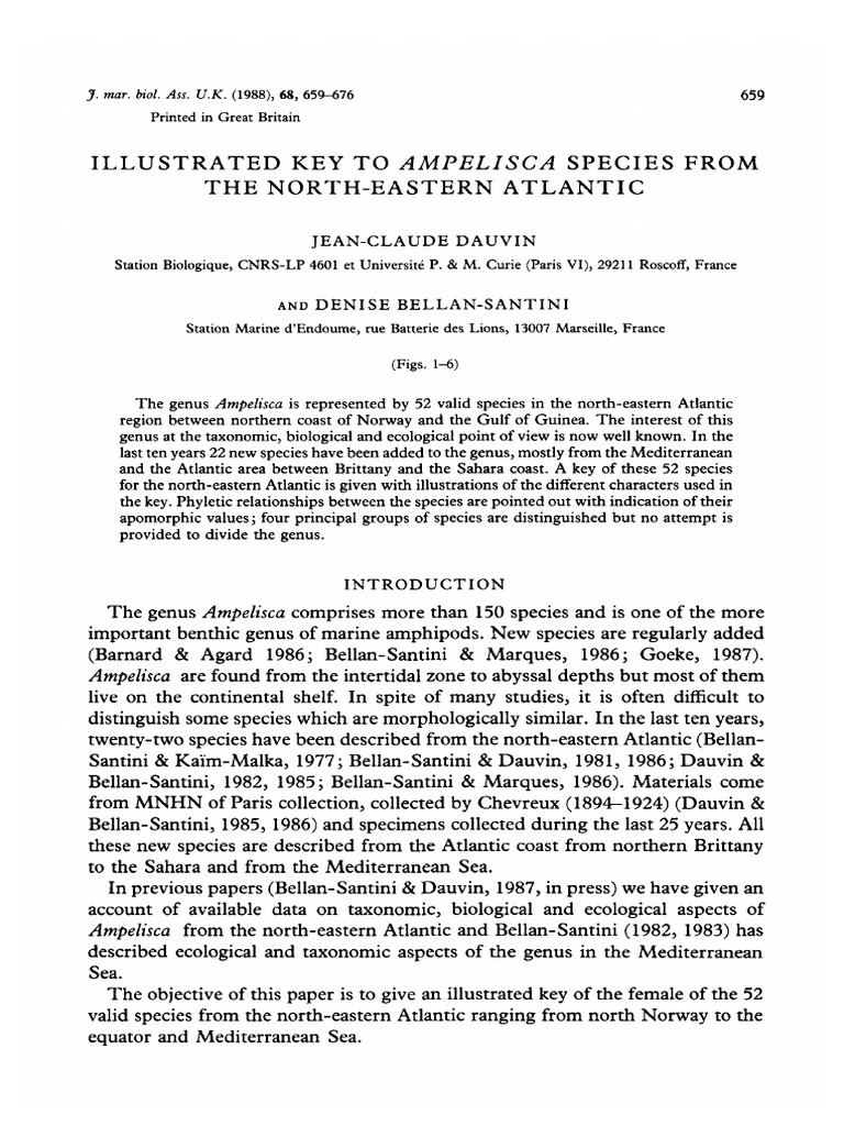 Illustrated Key to Ampelisca Species | PDF | Species | Taxonomy (Biology)