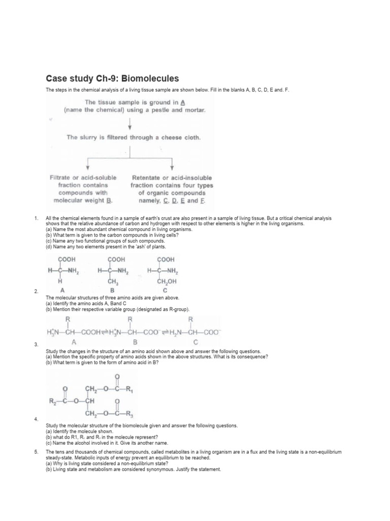 Biomolecules: Chemical Analysis Case Study | PDF | Enzyme | Active Site