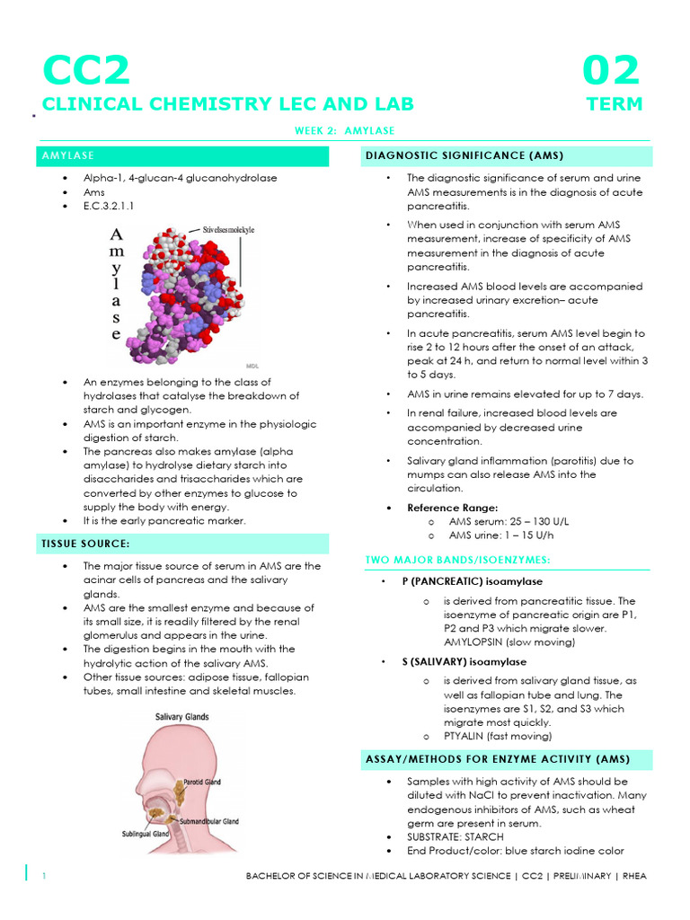 Cc2 - Week 3 - Ams and Other Enzymes - Prelim | PDF | Lactate Dehydrogenase | Pancreas