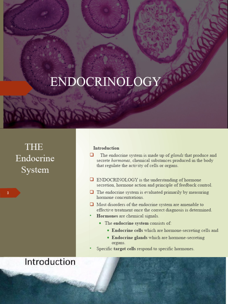 ADH and Oxytocin in Endocrinology | PDF | Endocrine System | Pituitary ...