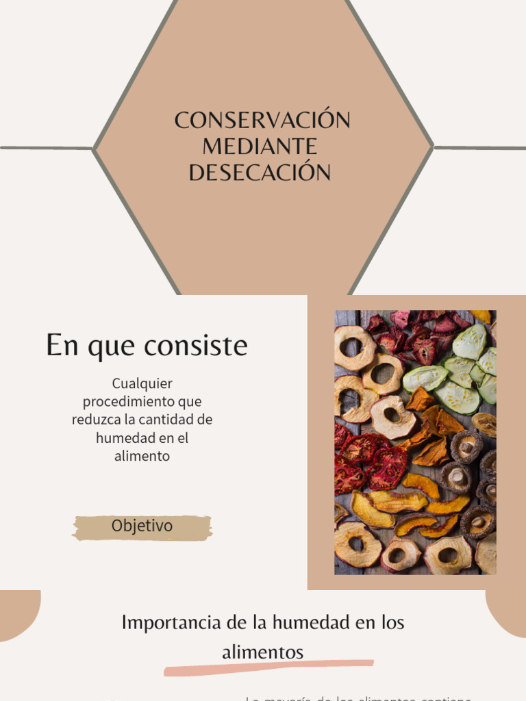 4.conservación Mediante Desecación | PDF | Alimentos | Temperatura