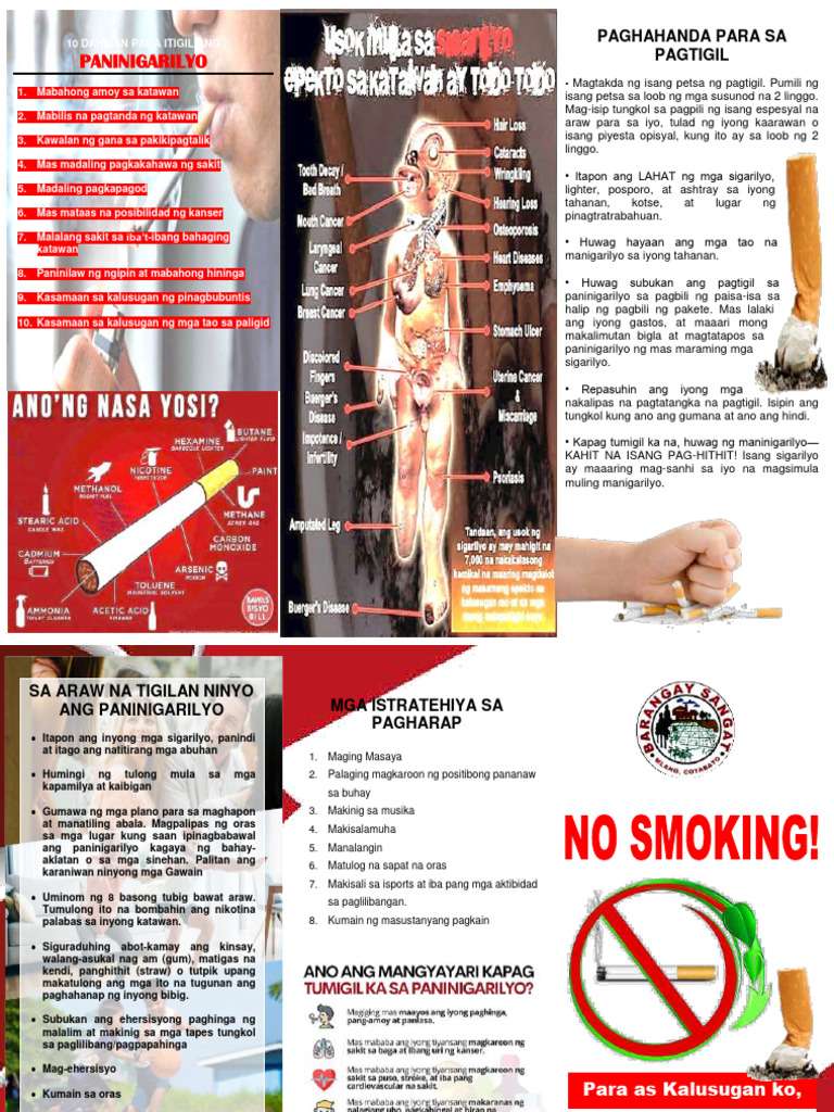 Brochure For SMOKE1 | PDF