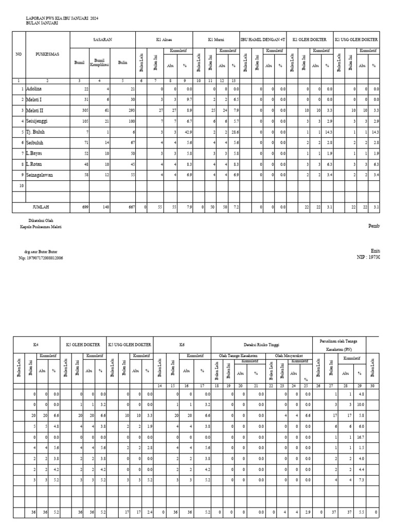 FIX LAPORAN PWS TERBARU 2024 | PDF