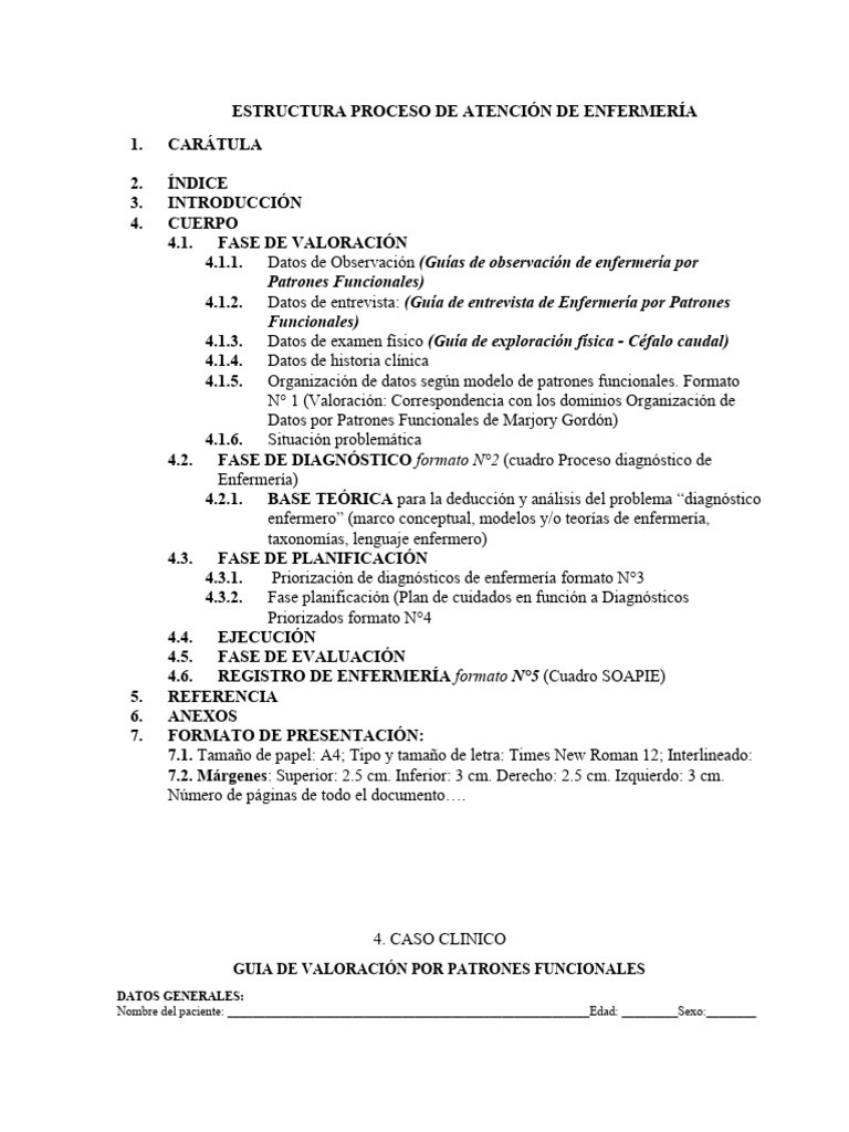 Si-Modelo-Estructura Del Pae | PDF | Enfermería