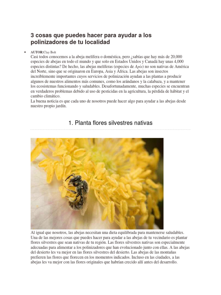 3 Cosas Que Puedes Hacer para Ayudar A Los Polinizadores | PDF | Abejas ...