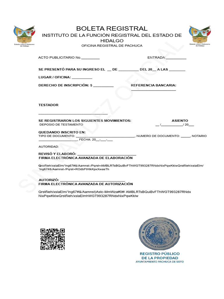 Boleta Registral Ejemplo | PDF | Finanzas y dinero